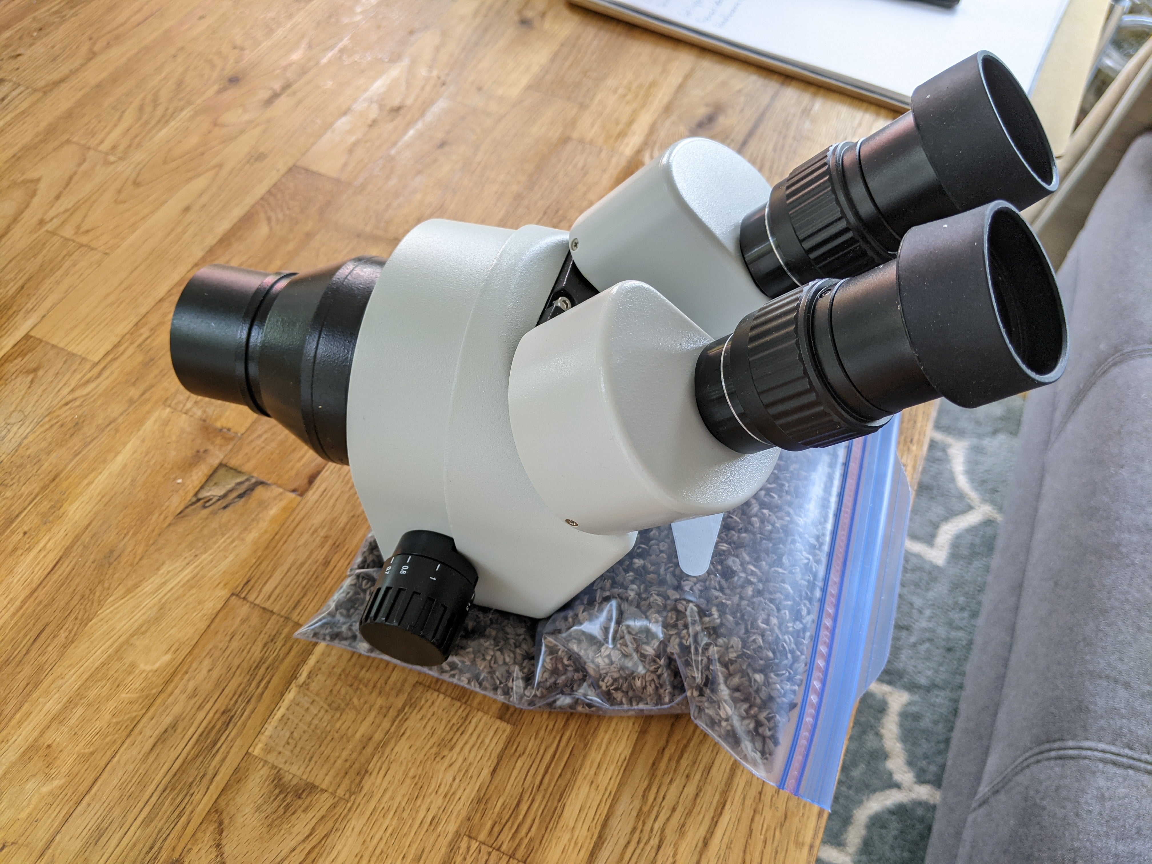 Just Make a Bean Bag (Free!) – The Good Microscope Store